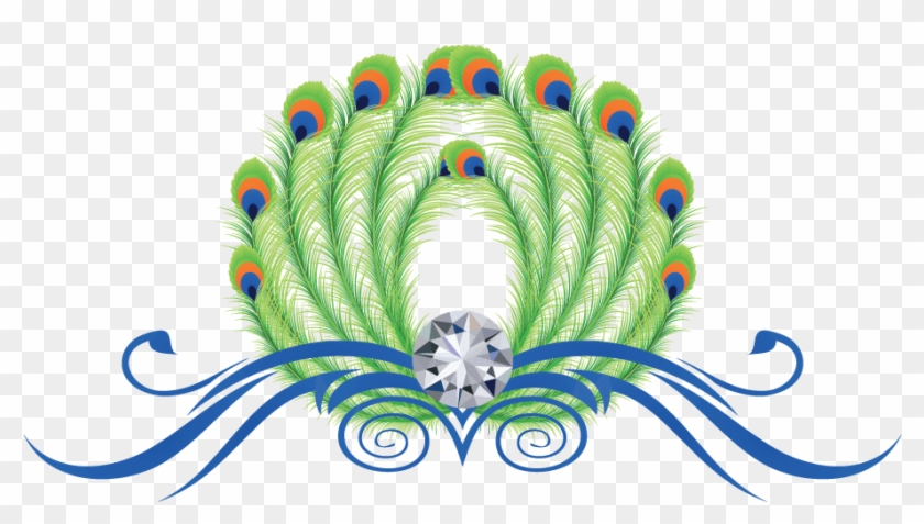 Peafowls, Peacocks And Peahens. Including Facts And - Free Transparent ...