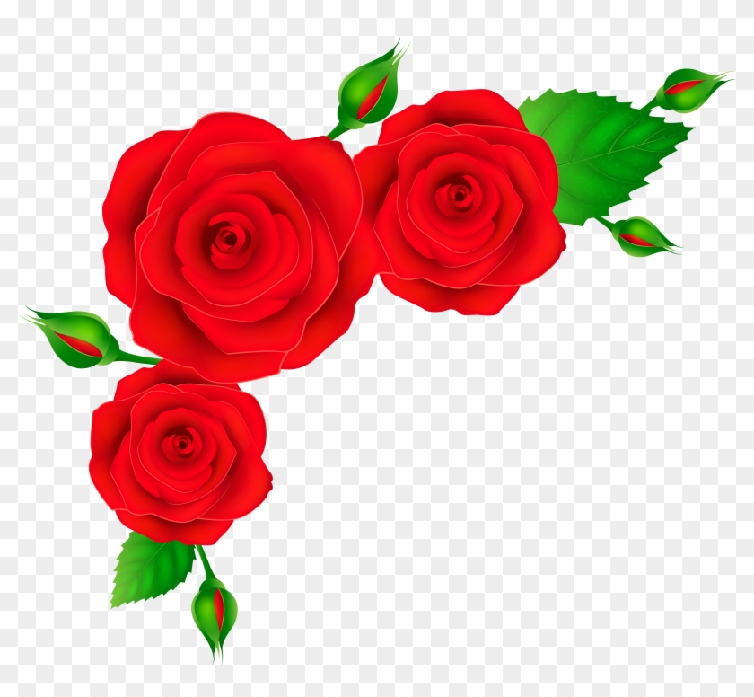 Red Roses Corner Transparent Png Clip Art Image - Red Roses Corner ...
