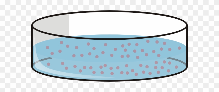 Petri Dish Clip Art - Full Size PNG Clipart Images Download