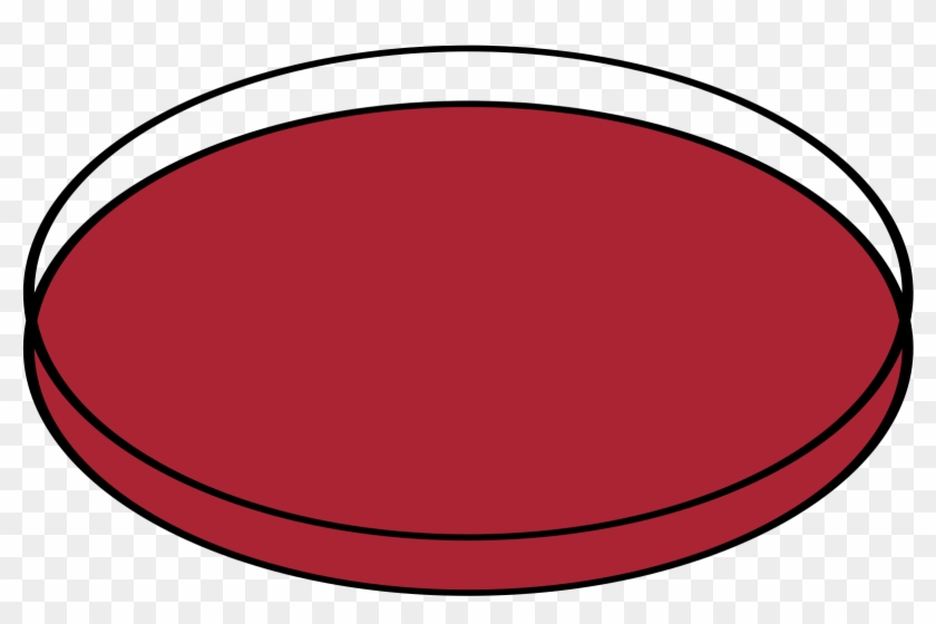 Open - Circle - Full Size PNG Clipart Images Download