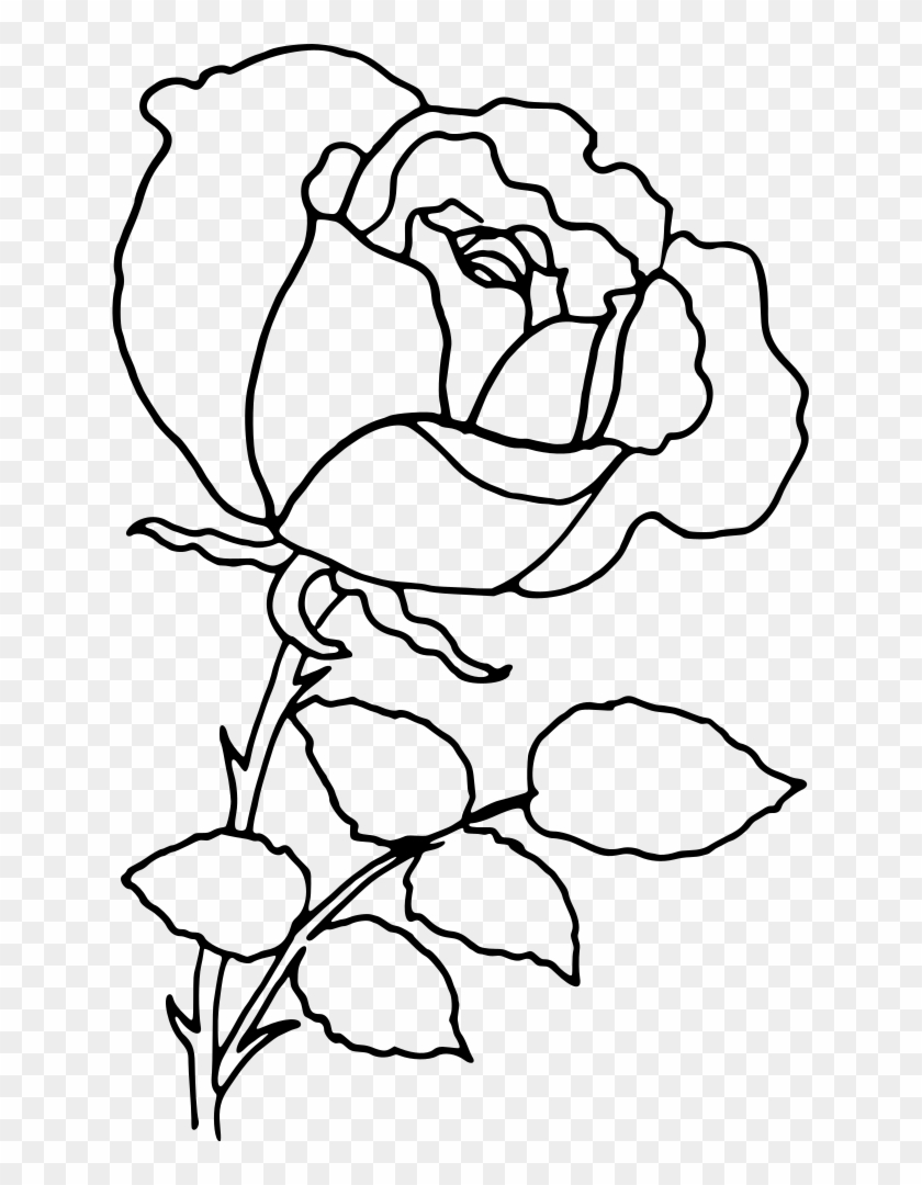 Rose Outline - Rose Outline Png - Full Size PNG Clipart Images Download