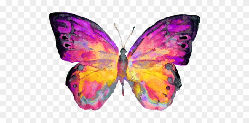 Your Time As A Caterpillar Has Expired Your Wings Are - Free ...