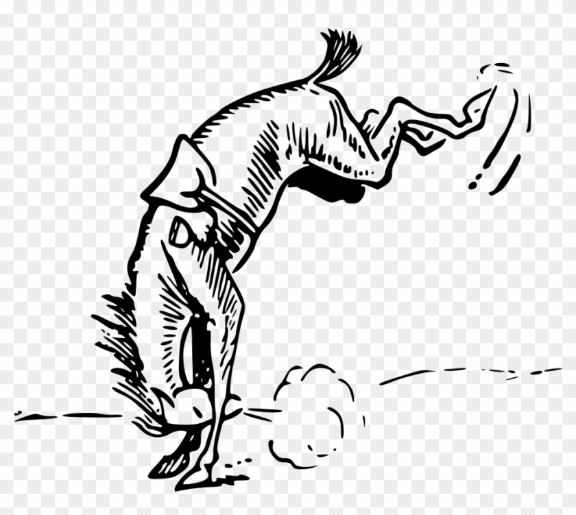 Kicking Horse - Falling Off A Horse Drawing - Full Size PNG Clipart ...