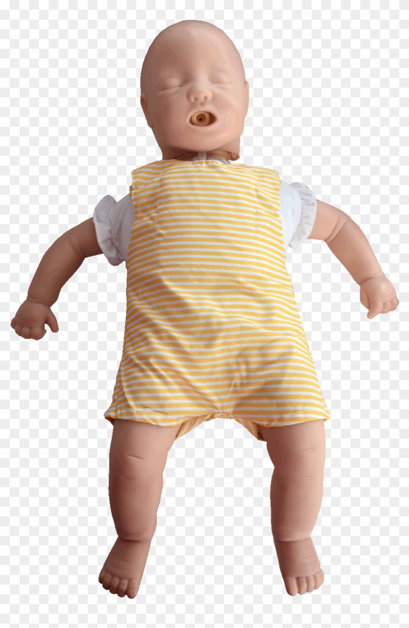 Infant Obstruction Model - Baby - Free Transparent PNG Clipart Images ...