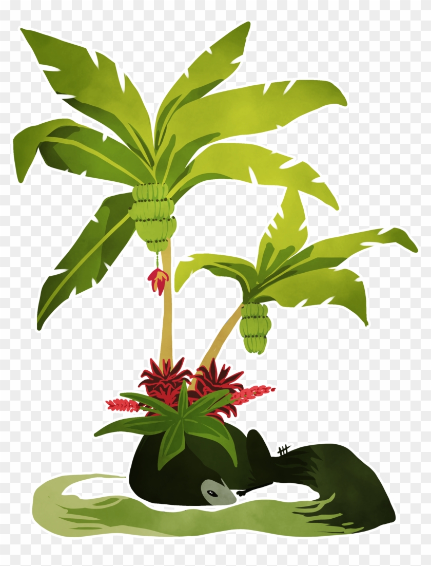 Plant - Plant - Free Transparent PNG Clipart Images Download