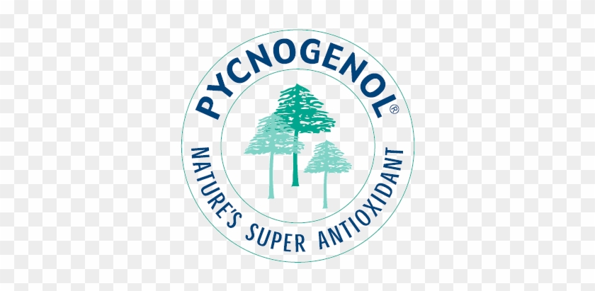 Pycnogenol® - Purity Products Pycnogenol Super Formula- Activated ...