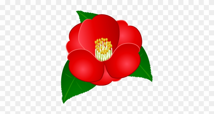 For Download Free Image - Stock.xchng - Free Transparent PNG Clipart ...