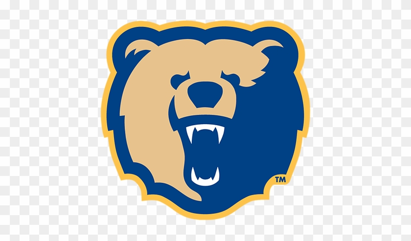 The Morgan State Bears Football Team Competes In American - Morgan ...