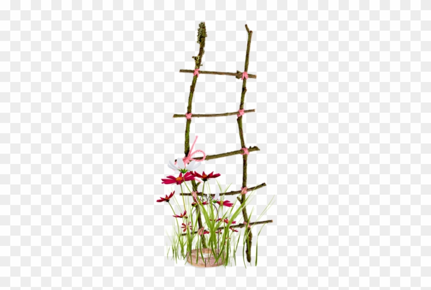 Garden - Transparent Background Png Nature - Full Size PNG Clipart ...