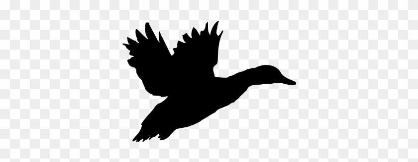 Duck Hunting Silhouette