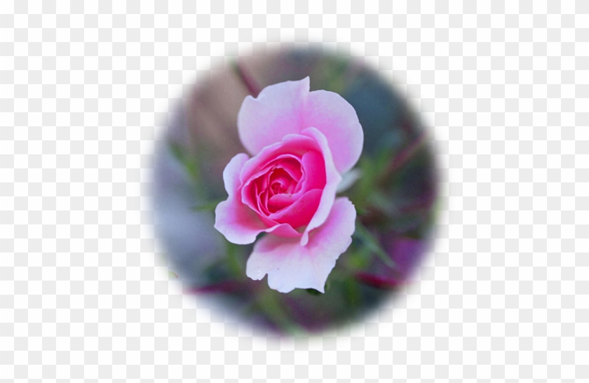 Healing - Free Transparent PNG Clipart Images Download