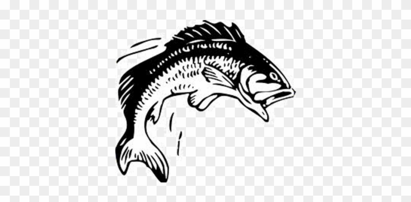 Black And White Fish - Full Size PNG Clipart Images Download