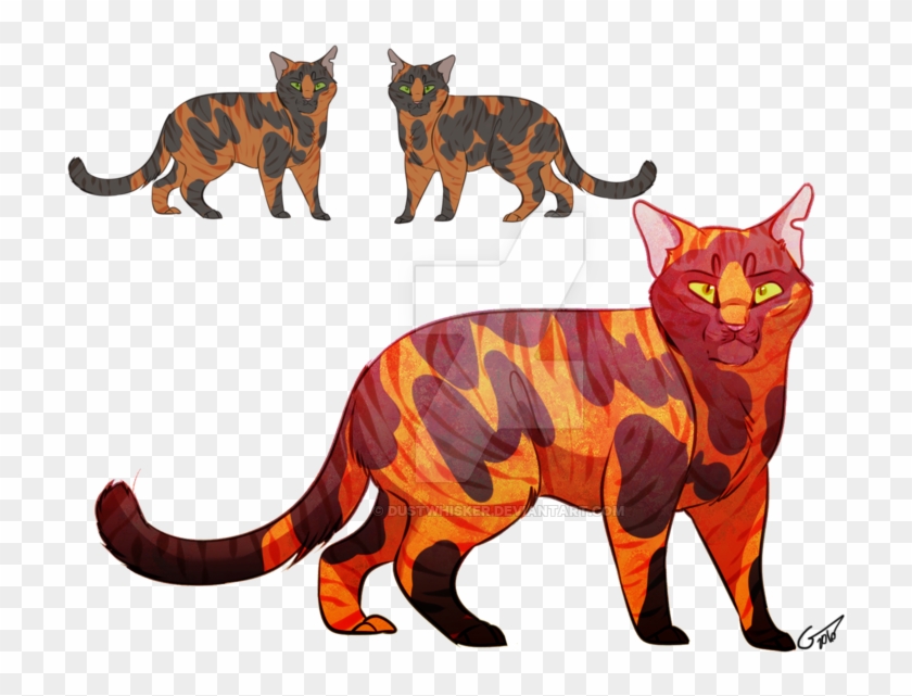 Tortie Tabby Cat Design - Tortoiseshell Cat - Full Size PNG Clipart ...