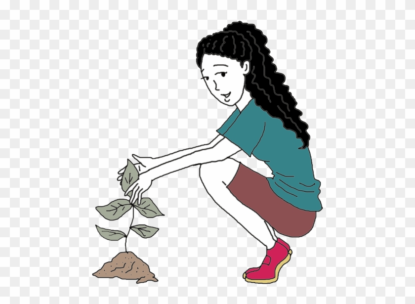 Tree Planting - Full Size PNG Clipart Images Download