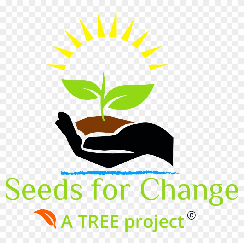 What Is Seeds For Change - Seeds Logo - Full Size PNG Clipart Images ...
