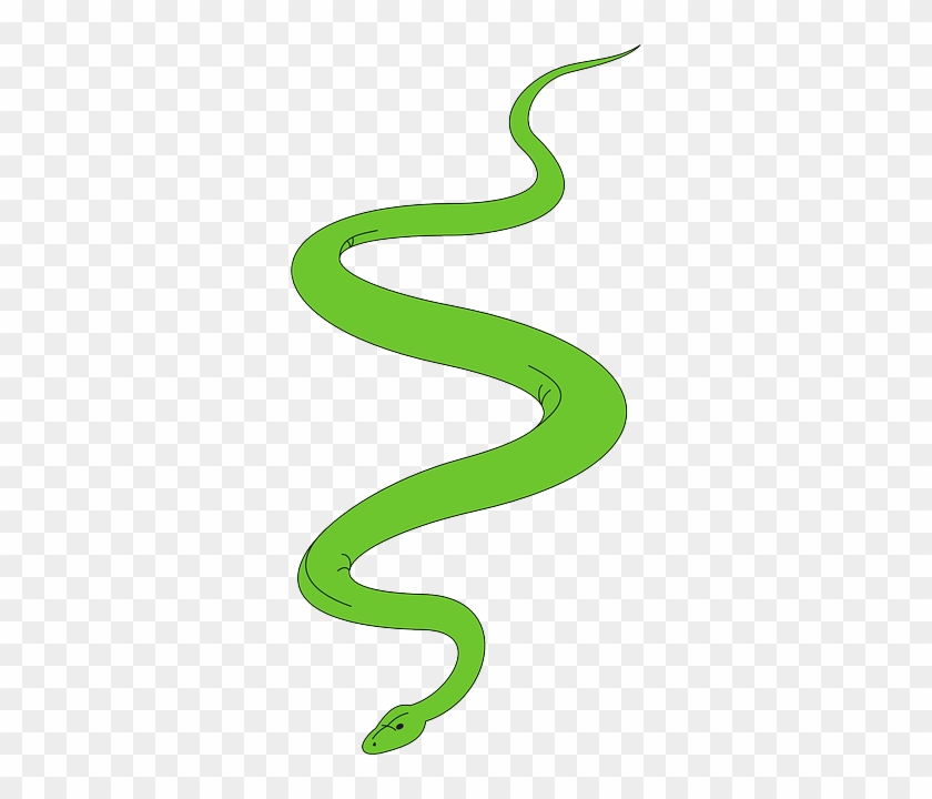 Slither Snake, Green, Garden, Art, Reptile, Slithering, - Cartoon Snake ...