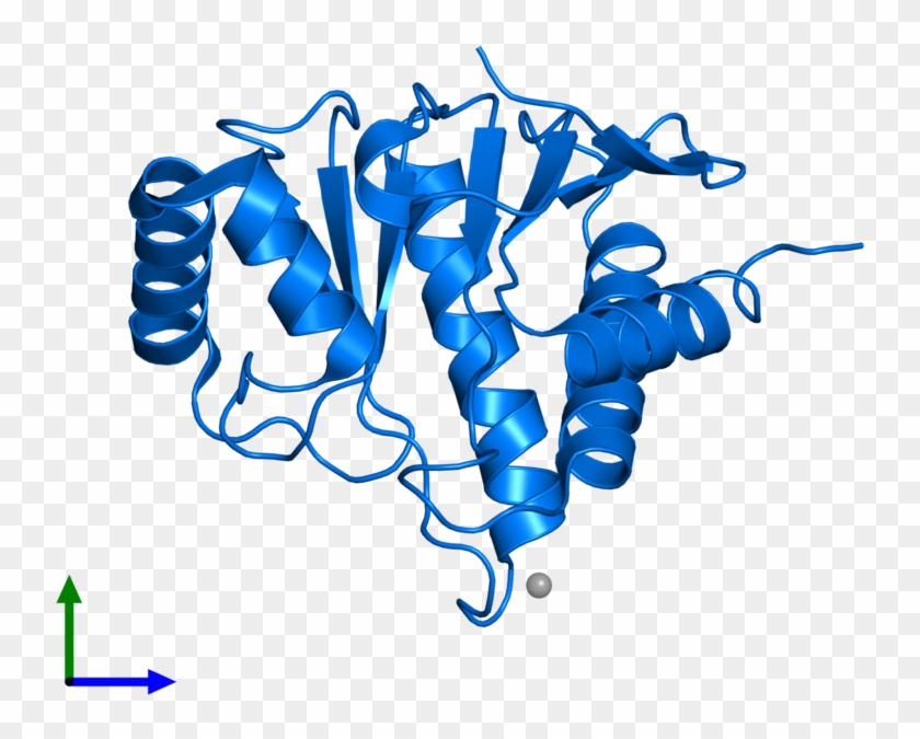 Graphic Design Logo Clip Art - Illustration - Free Transparent PNG ...