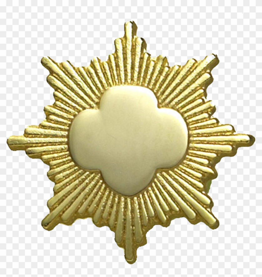 Gold Award Gold Award Pin - Girl Scout Gold Award - Full Size PNG ...