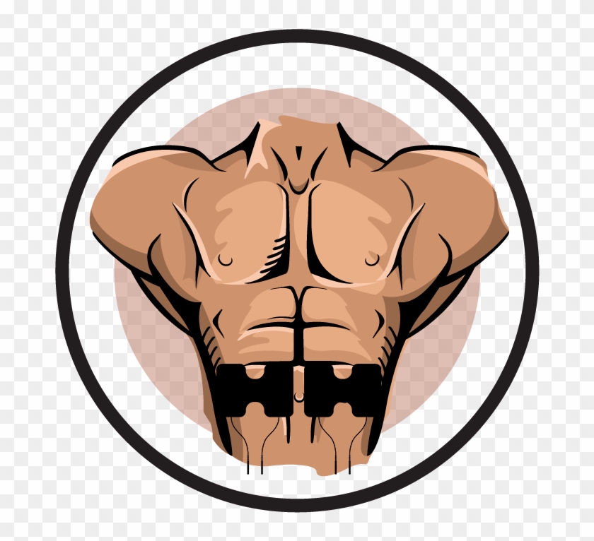 Abdomen - Free Transparent PNG Clipart Images Download