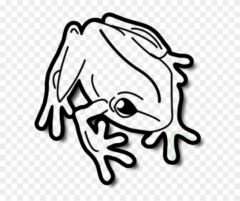Frog Tropical Small - Frog Black And White Png - Full Size PNG Clipart ...