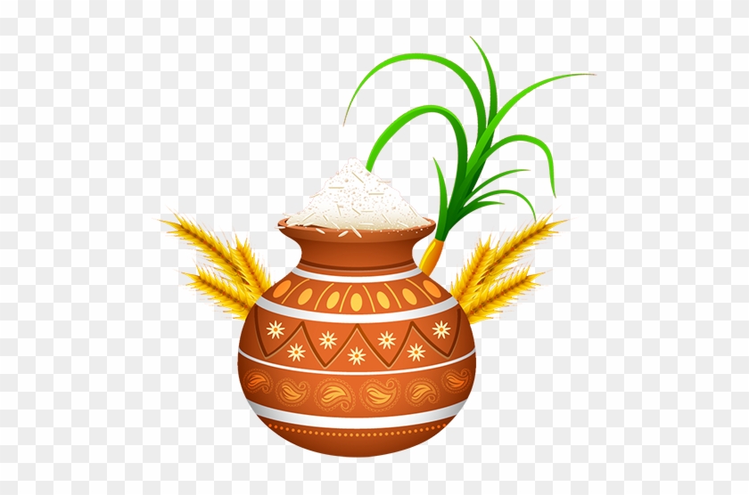 Pongal Festival Png - Full Size PNG Clipart Images Download
