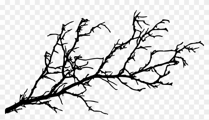 15 Tree Branch Silhouettes - Tree Branch Silhouette Png - Full Size PNG ...