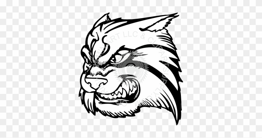 Wildcat Head Clipart - Full Size PNG Clipart Images Download