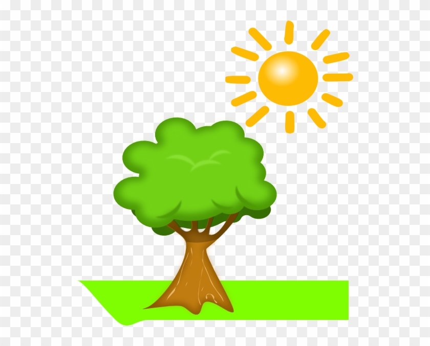 Cartoon Tree And Sun - Full Size PNG Clipart Images Download