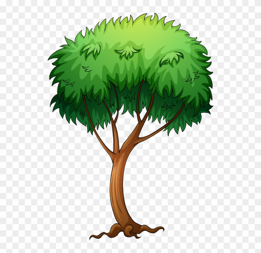 Tree Cartoon Png - Full Size PNG Clipart Images Download