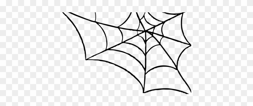 Png Transparent Spider Web Png - Full Size PNG Clipart Images Download