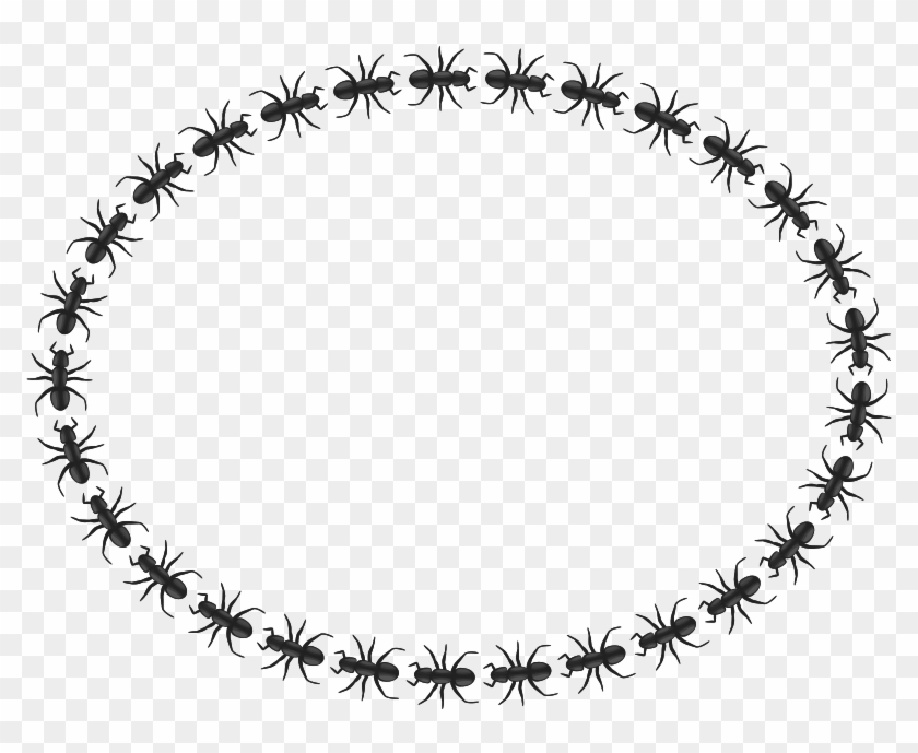 Art Free Ant Border Oval - Icon Border Circle Png - Full Size PNG ...
