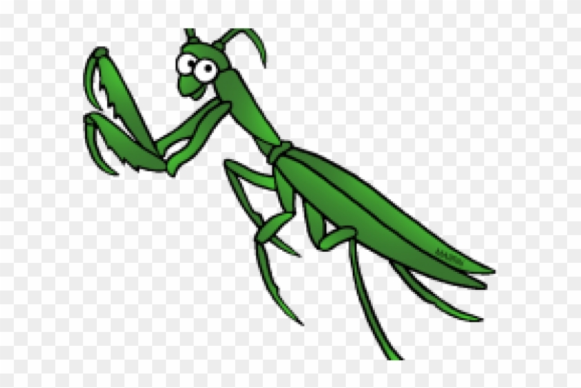 Mantis Clipart Boxing - Clip Art - Free Transparent PNG Clipart Images ...