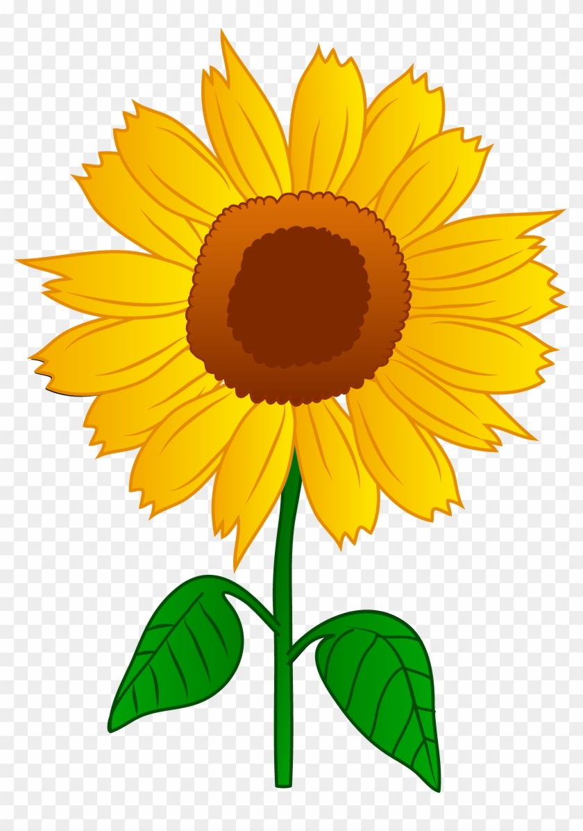 Sunflower Clip Art - Sunflower Clip Art - Free Transparent PNG Clipart ...