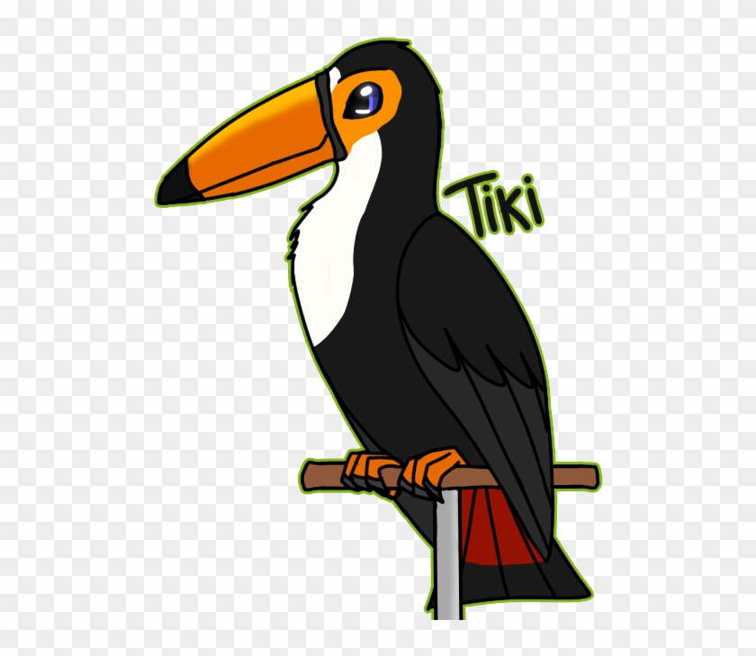 Tiki-tuki By Aretimes - Toucan - Full Size PNG Clipart Images Download