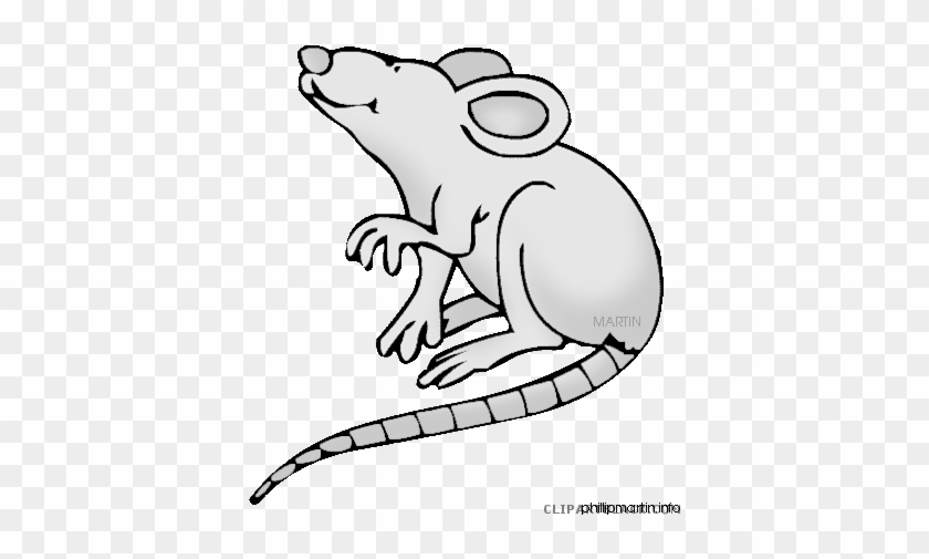 Rat Animal Free Black White Clipart Images Clipartblack - Rat Clip Art ...