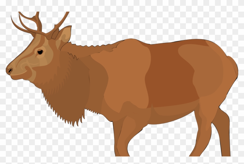 Collection Of Free Carriboo Clipart Cute Download On - Animated Elk ...