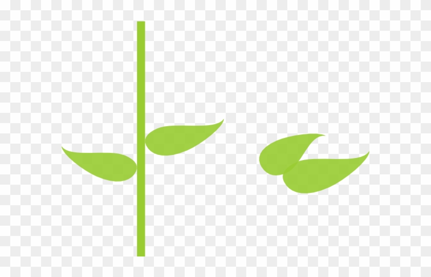 This Free Clip Arts Design Of Pink Flowers - Smile - Full Size PNG ...