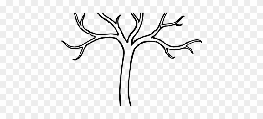 Clipart Library Asymmetrical Drawing Tree - Bare Tree Clipart Outline ...
