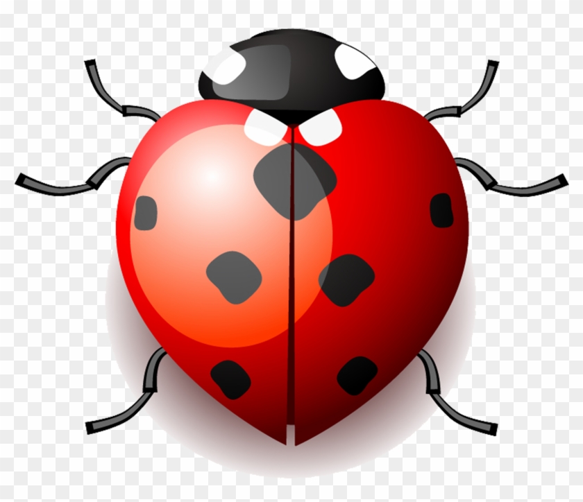 Clip Art Black And White Library Apron Drawing Ladybug - Clip Art Black ...