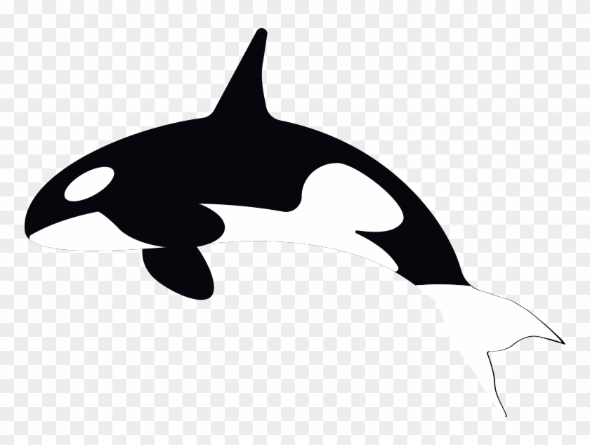 Killer Whale - Full Size PNG Clipart Images Download