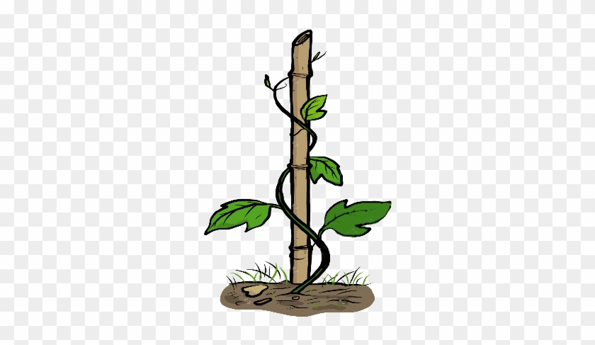 Climber - Draw A Creeper Plant - Full Size PNG Clipart Images Download