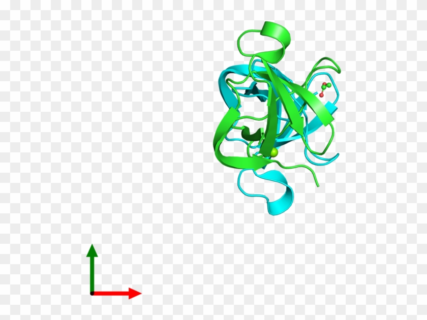 Protein - Full Size PNG Clipart Images Download