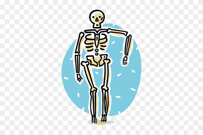 Skeleton Royalty Free Vector Clip Art Illustration - Illustration ...