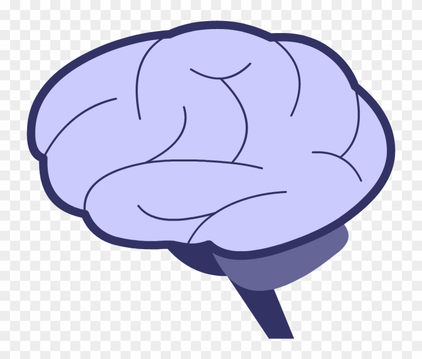 Brain - Brain - Full Size PNG Clipart Images Download