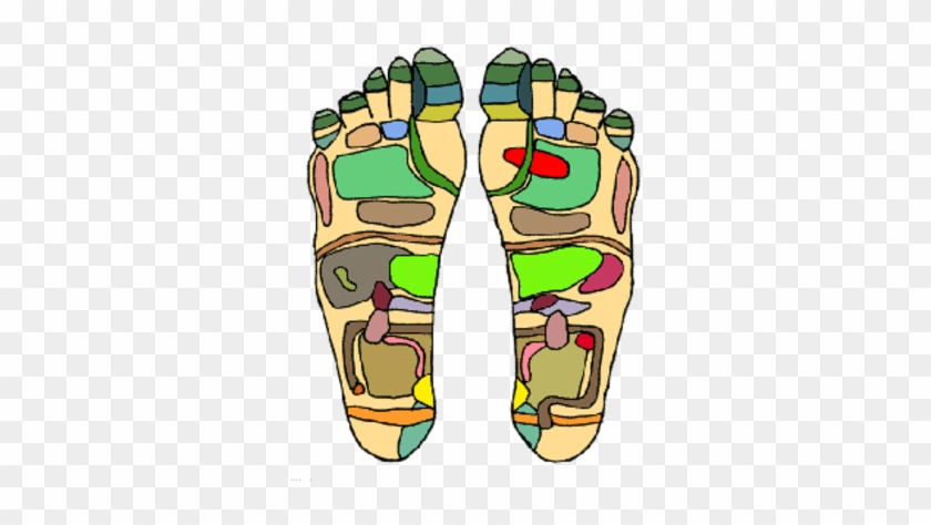 An Example Of A Reflexology Chart, Demonstrating The - Reflexology ...
