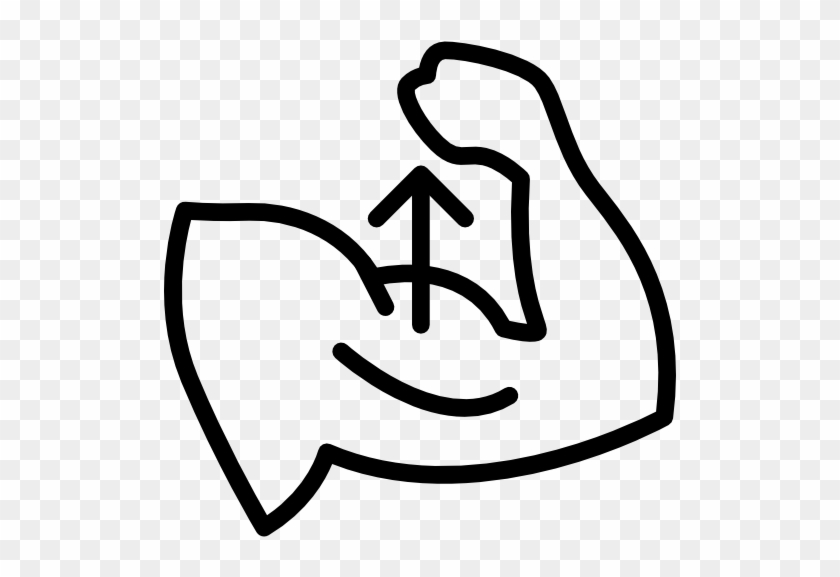 Biceps Drawing Detailed Banner Transparent - Muscle - Full Size PNG ...