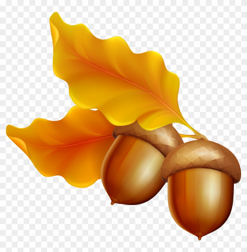 Friday's Guest Freebies ~ Yopriceville - Fall Acorn Clip Art - Free ...