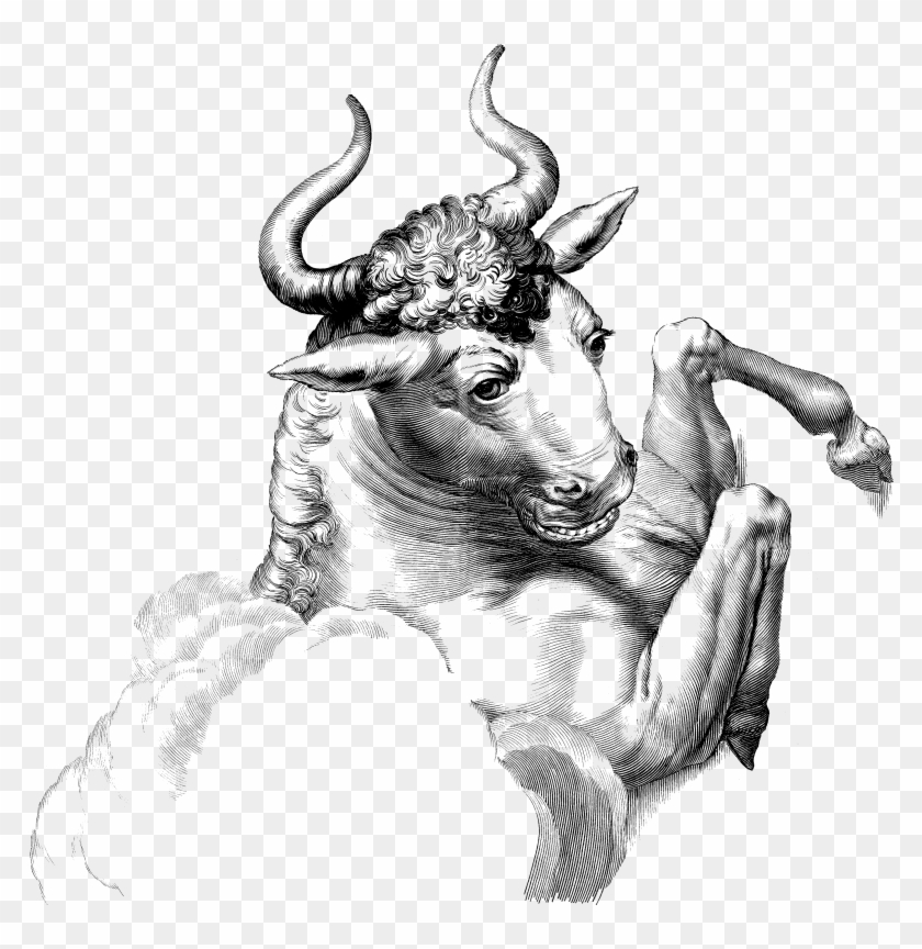 Taurus - Taurus Constellation - Full Size PNG Clipart Images Download