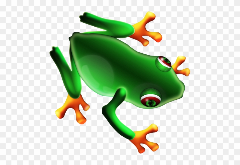 Frog Frogs Tube Clip Art Illustrations Frog Frogs Tube Clip Art