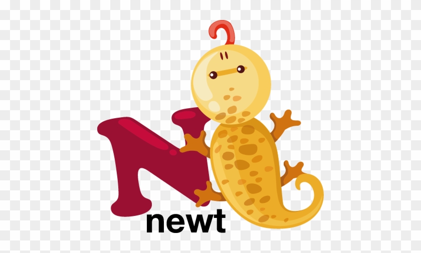 N For Newt Kids Sticker - Animal Alphabet Letter N - Full Size PNG ...
